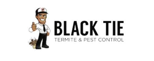 Pest Control Baltimore | Black Tie Termite